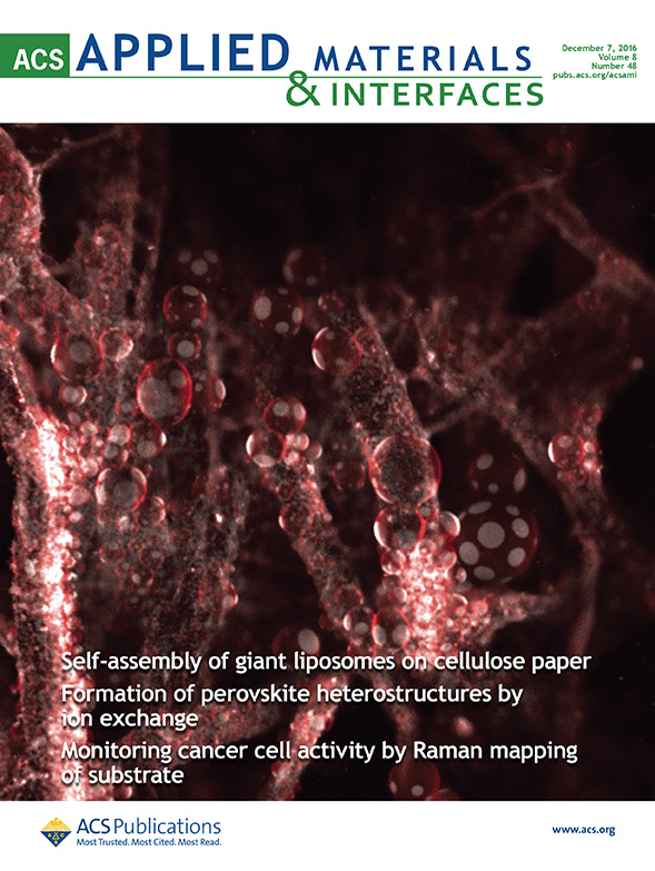 Scientists Build Synthetic Cell-Sized Membranes Out of Paper | Student ...